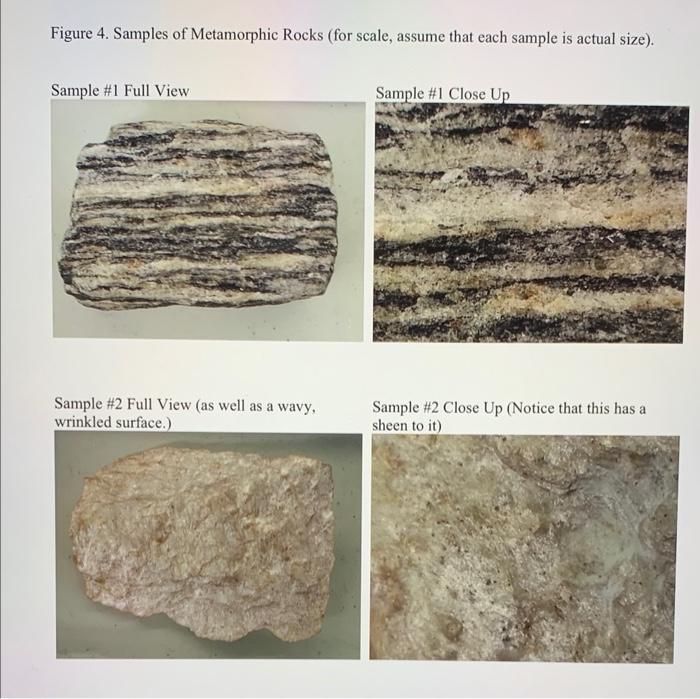 Solved Metamorphic Rocks For this lab, you will be making | Chegg.com