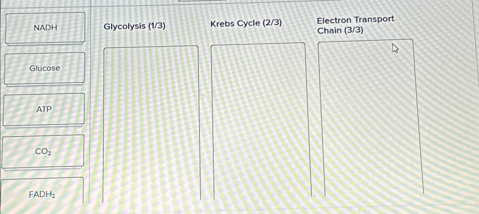 Solved Glycolysis (1/3)Krebs Cycle (2/3)Electron Transport | Chegg.com