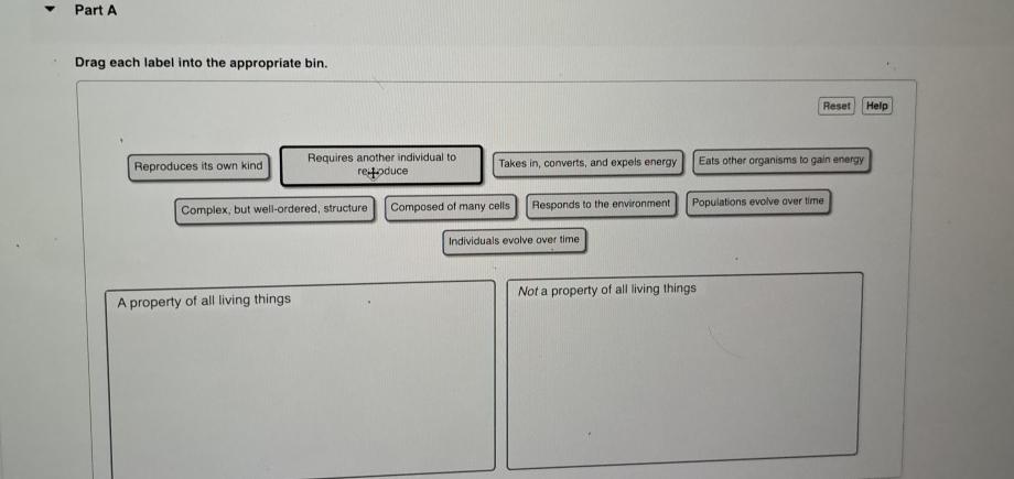 Solved Part ADrag each label into the appropriate bin. | Chegg.com