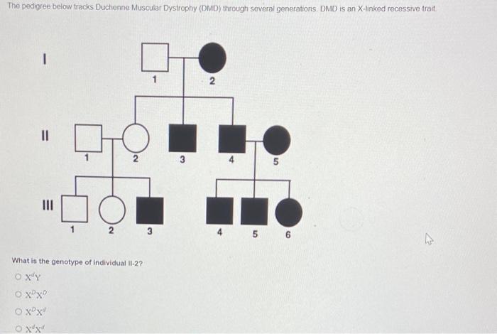 Solved The pedigree below tracks Duchenne Muscular Dystrophy | Chegg.com