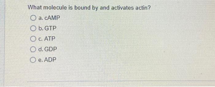 Solved What molecule is bound by and activates actin? a. | Chegg.com