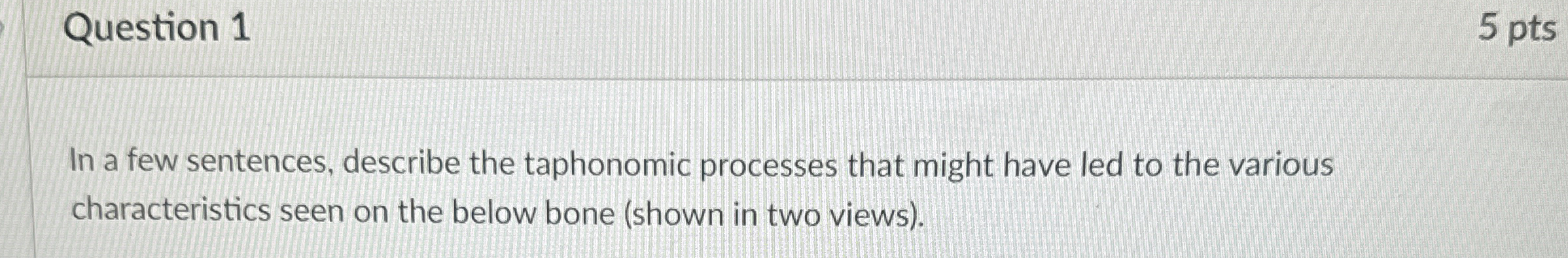 Solved Question 15 ﻿ptsIn a few sentences, describe the | Chegg.com