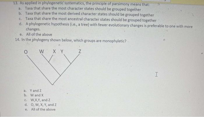 Solved 13. As applied in phylogenetic systematics, the | Chegg.com