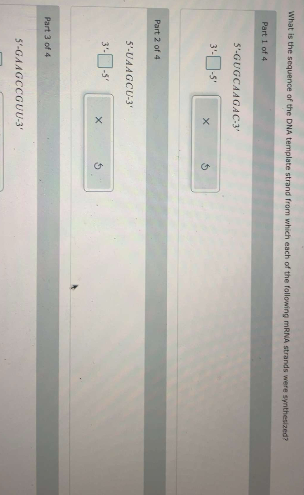 Solved What is the sequence of the DNA template strand from | Chegg.com