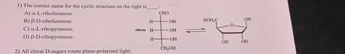 Solved A) α−L-ribofuranose. B) B-D-ribofuranose: C) | Chegg.com