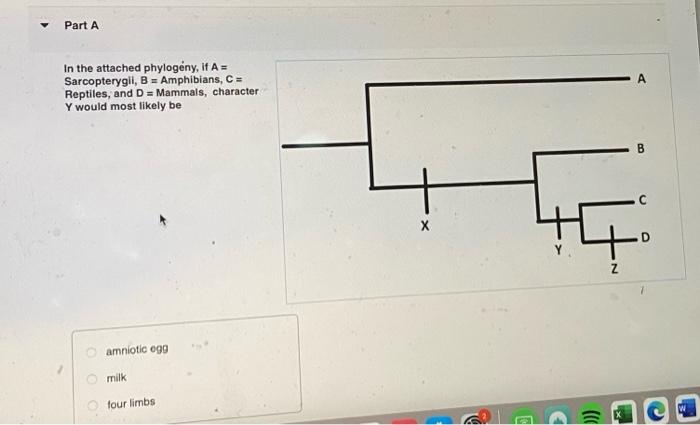 Solved Part A In the attached phylogeny, if A = | Chegg.com
