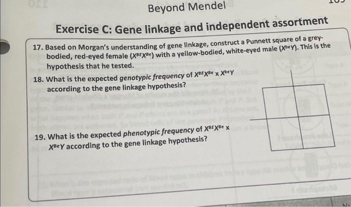 Beyond Mendel Exercise C: Gene linkage and | Chegg.com