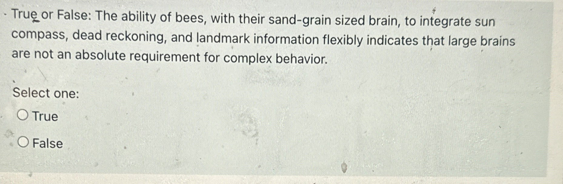 Solved True or False: The ability of bees, with their | Chegg.com