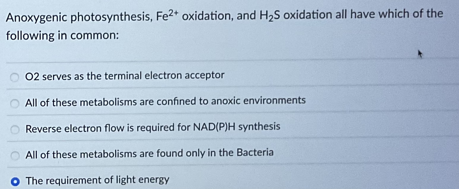 Solved Anoxygenic photosynthesis, Fe2+ ﻿oxidation, and H2S | Chegg.com