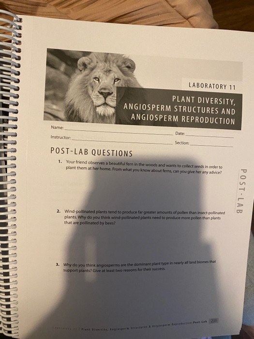 Solved LABORATORY 11 PLANT DIVERSITY, ANGIOSPERM STRUCTURES | Chegg.com