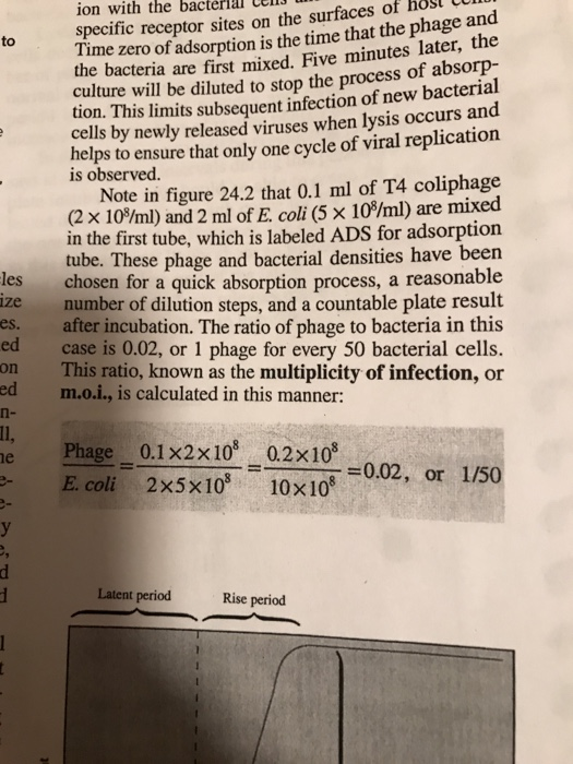 1. (2 pts) Calculate the plaque forming units per mL | Chegg.com