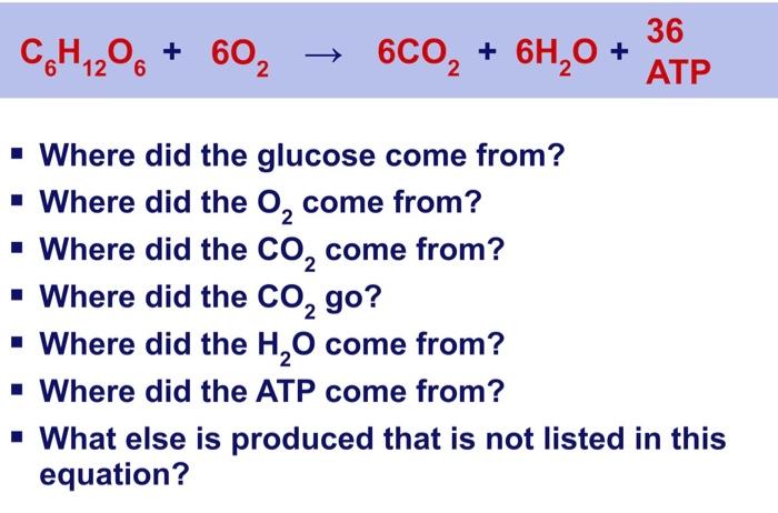 Solved C6H12O6 + 602 36 → 6CO2 + 6H2O + ATP • Where did the | Chegg.com