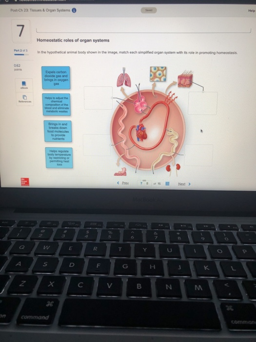 Solved Post-Ch 23: Tissues & Organ Systems Homeostatic roles | Chegg.com