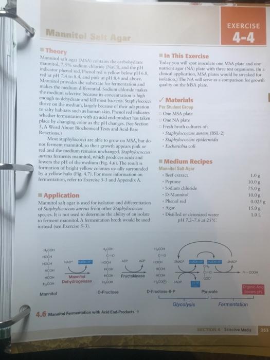 Selective and Differential Media Assignment Worksheet | Chegg.com