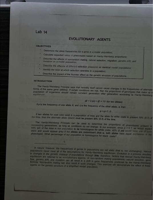 Solved Lab 14 OBJECTIVES . Determine the allele | Chegg.com