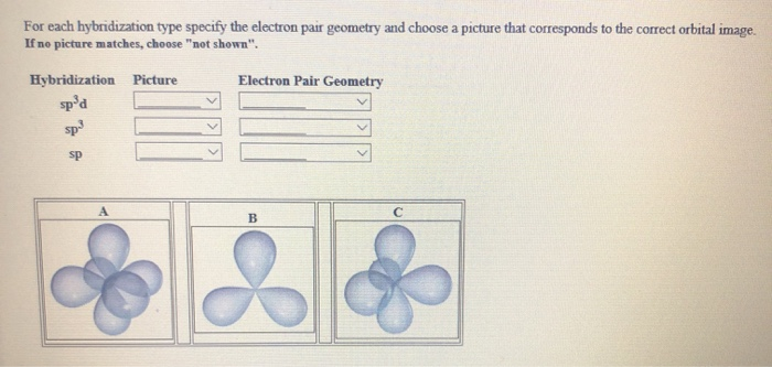 Solved For each hybridization type specify the electron pair | Chegg.com