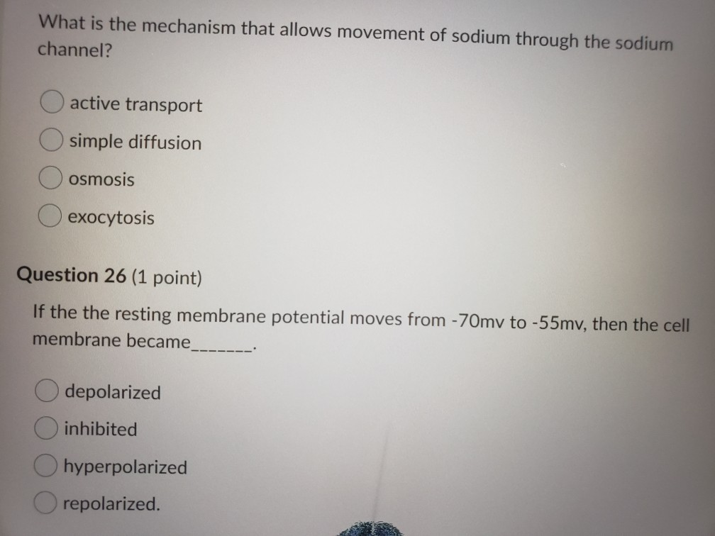 Solved What is the mechanism that allows movement of sodium | Chegg.com