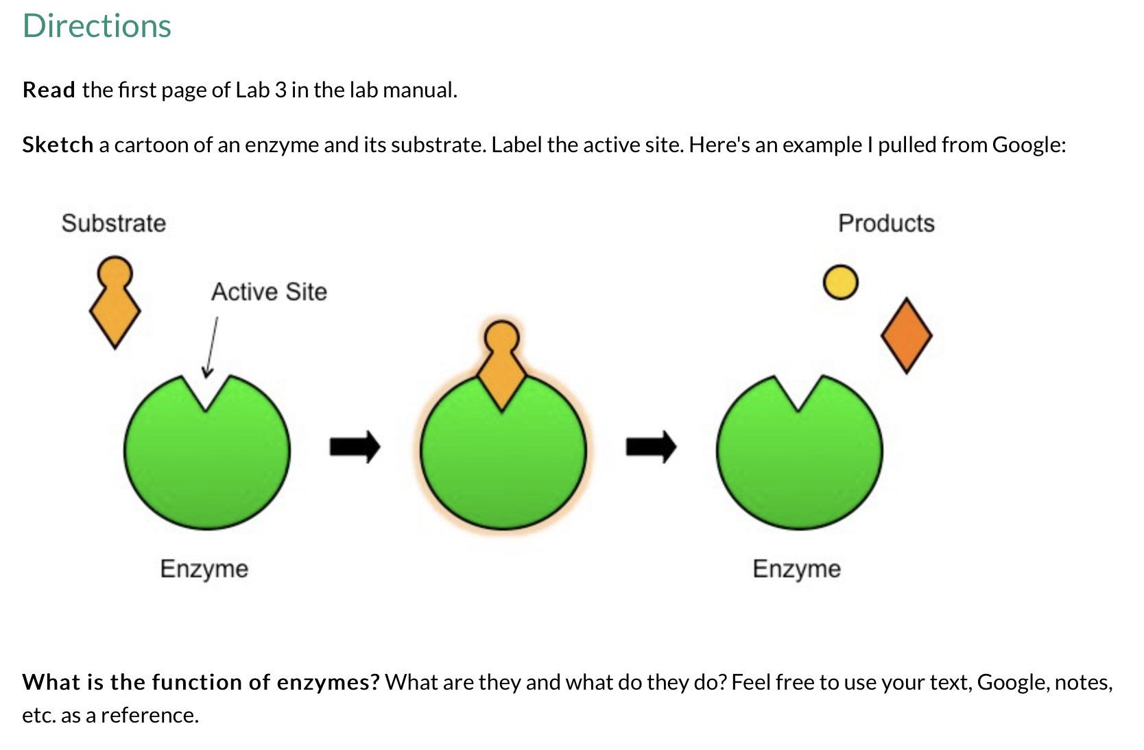 Solved DirectionsRead the first page of Lab 3 ﻿in the lab | Chegg.com