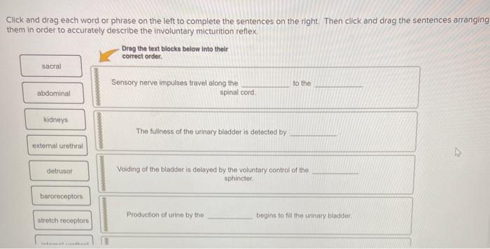 Solved Click and drag each word or phrase on the left to | Chegg.com