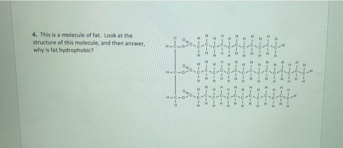 Solved 4. This is a molecule of fat. Look at the structure | Chegg.com