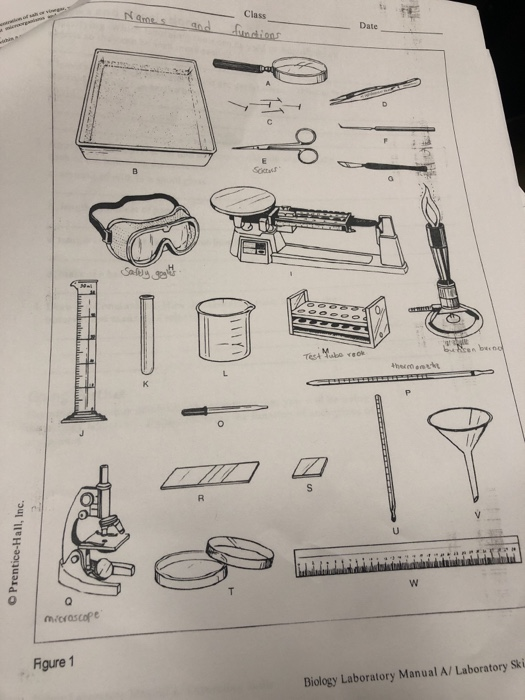 Biology Laboratory Manual A Laboratory Skills Answer Key LinBlogrosby