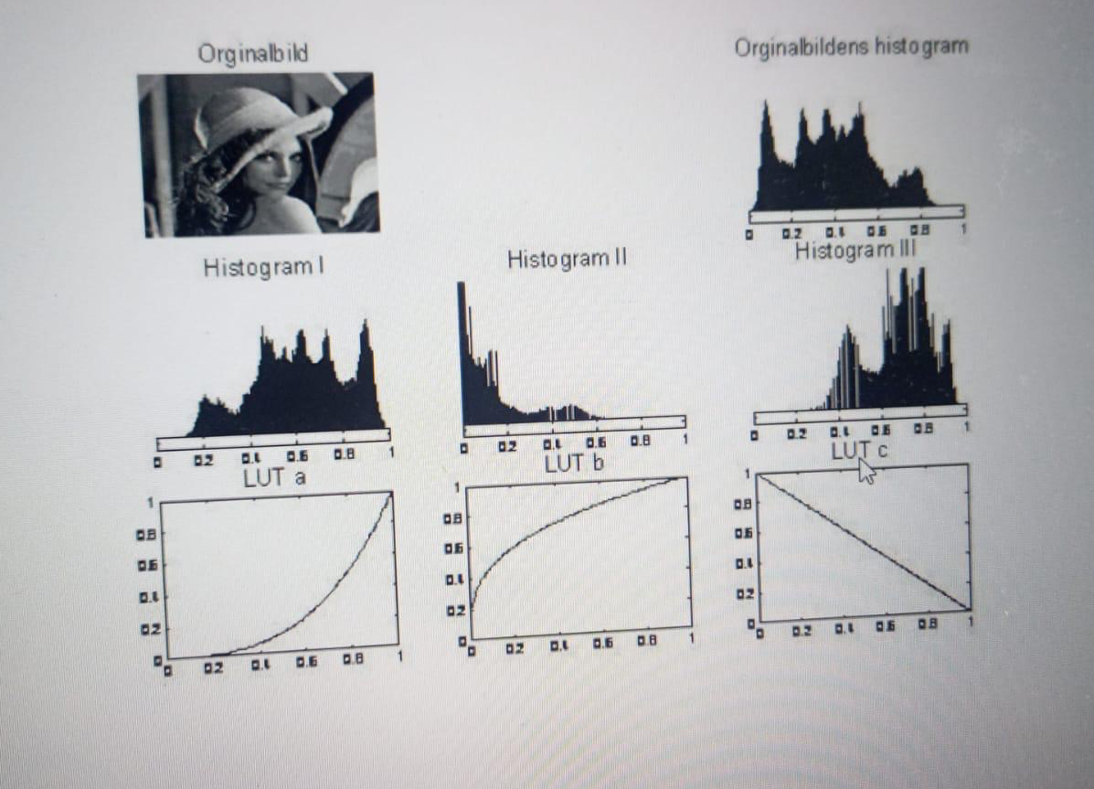 The histogram of the given Lena image is provided on | Chegg.com