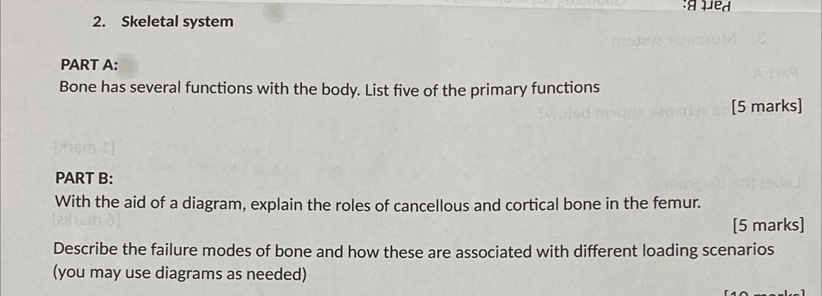 Solved Skeletal systemPART A:Bone has several functions with | Chegg.com