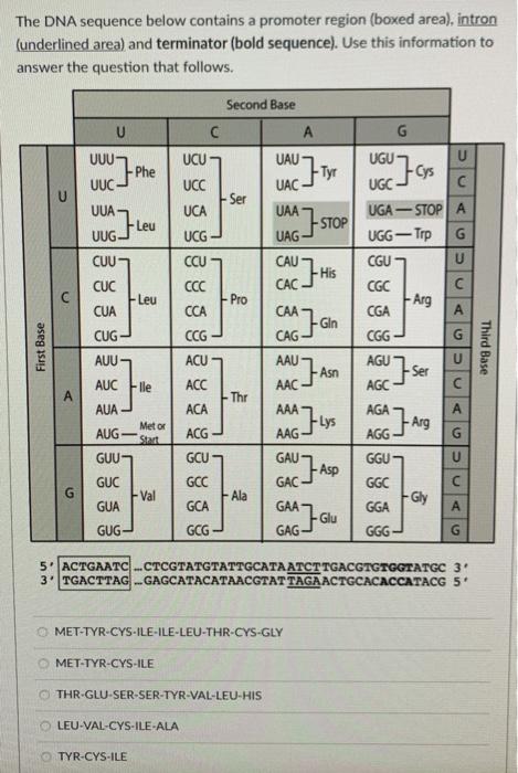 Solved The DNA sequence below contains a promoter region | Chegg.com