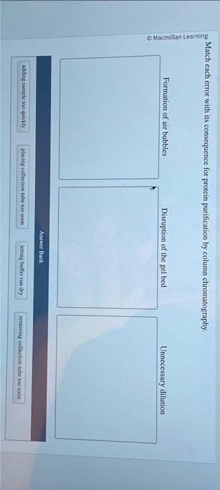 Solved Match each error with its consequence for protein | Chegg.com