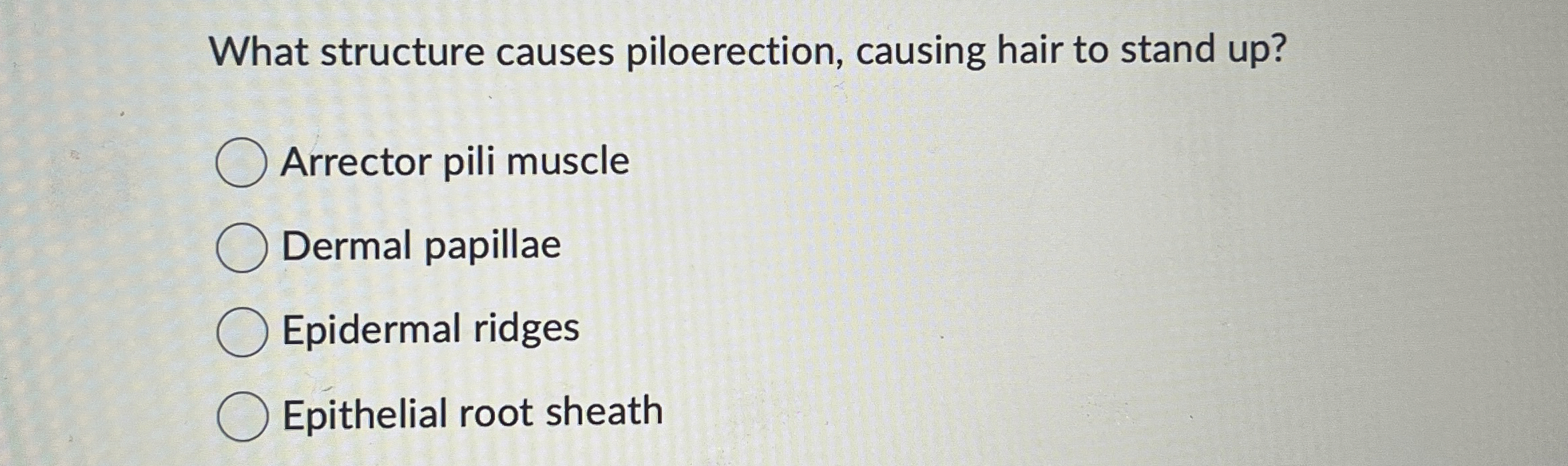 Solved What structure causes piloerection, causing hair to | Chegg.com