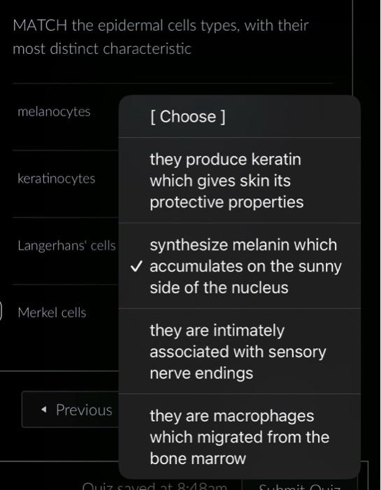 Solved MATCH the epidermal cells types, with their most | Chegg.com