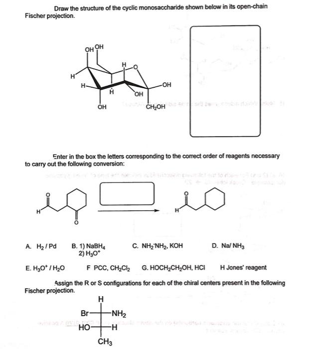 Solved Draw the structure of the cyclic monosaccharide shown | Chegg.com