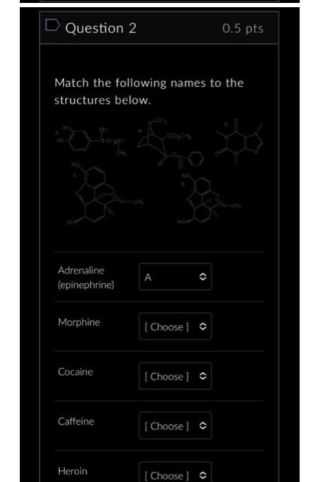 Solved Question 2 0.5pts Match the following names to the | Chegg.com