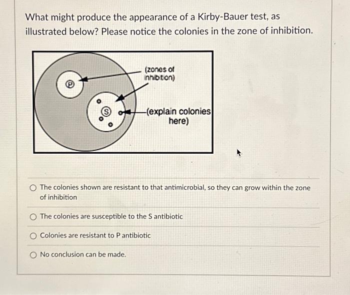 Solved What Might Produce The Appearance Of A Kirby Bauer