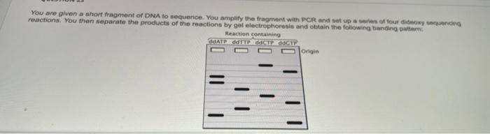 Solved You are given a short fragment of DNA to sequence. | Chegg.com