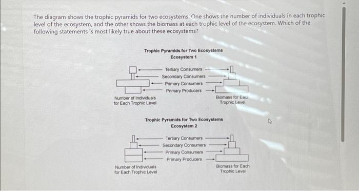 Solved The diagram shows the trophic pyramids for two | Chegg.com