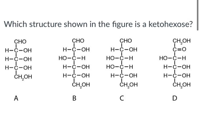Solved Which structure shown in the figure is a ketohexose? | Chegg.com