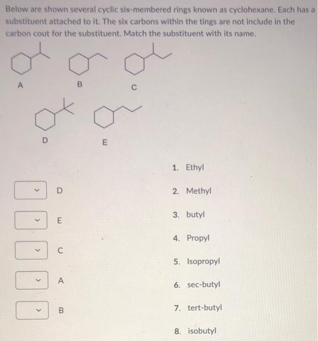 Solved Below are shown several cyclic six-membered rings | Chegg.com