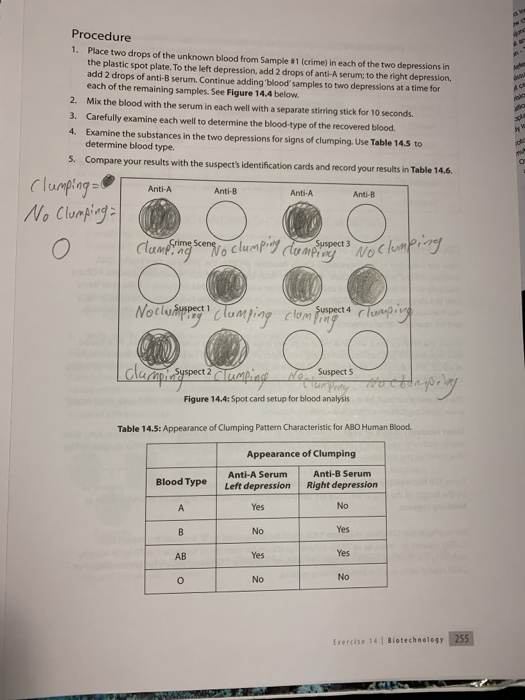 Solved Procedure 1. Place two drops of the unknown blood | Chegg.com