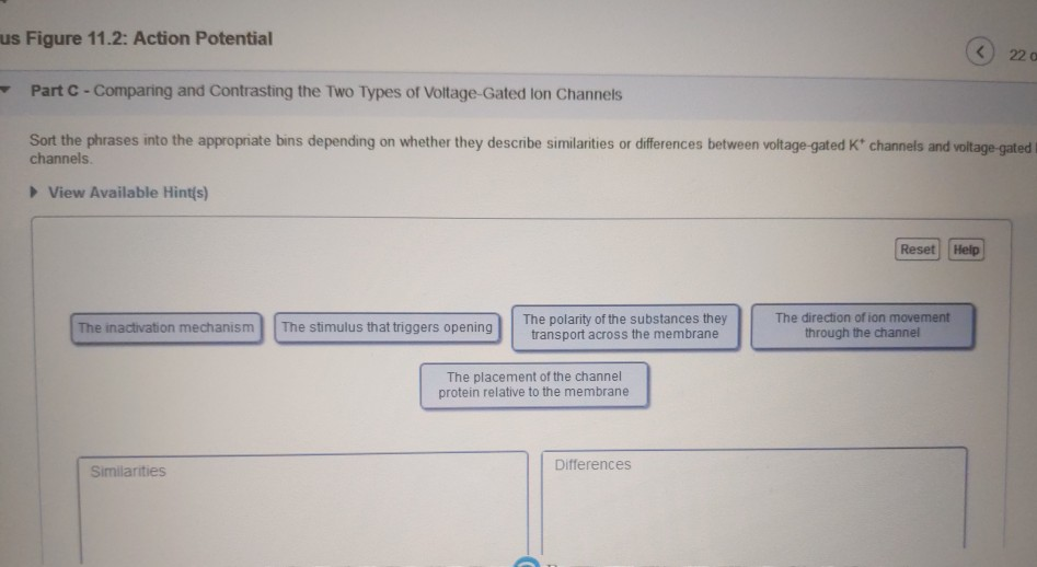 Solved us Figure 11.2: Action Potential 220 Part C - | Chegg.com