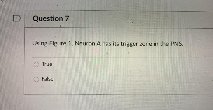Solved Location Q Neuron A Small Intestine A Neuron B Neuron | Chegg.com