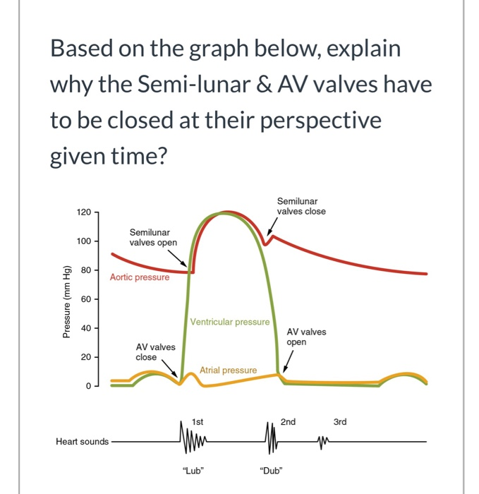 Solved Based on the graph below, explain why the Semi-lunar | Chegg.com