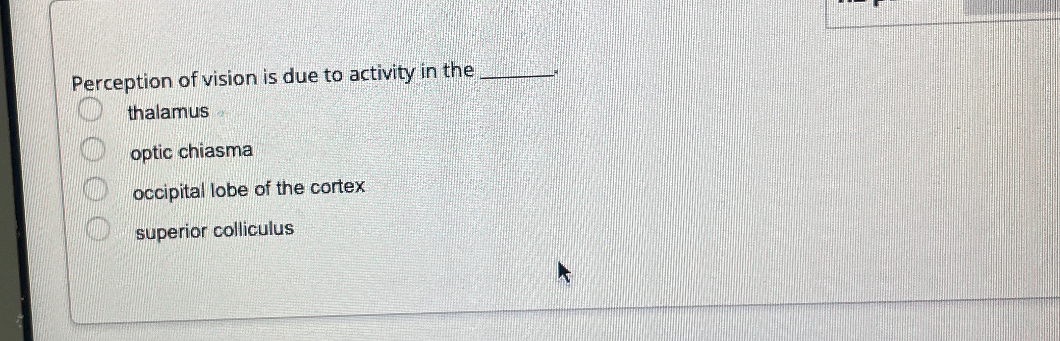 Solved Perception of vision is due to activity in the | Chegg.com