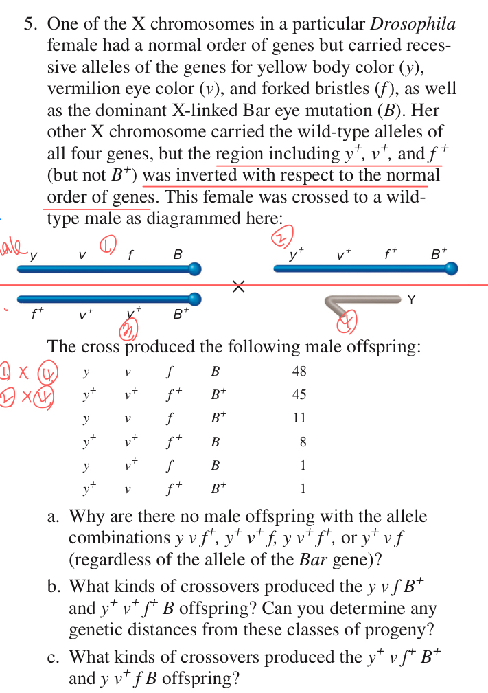 Solved please draw the loop i dont understand how they can | Chegg.com