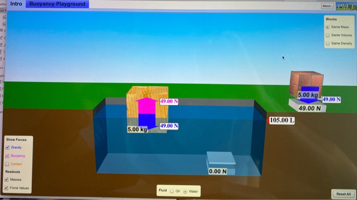 Solved Intro Buoyancy Playground About PHET Blocks Same Mass | Chegg.com