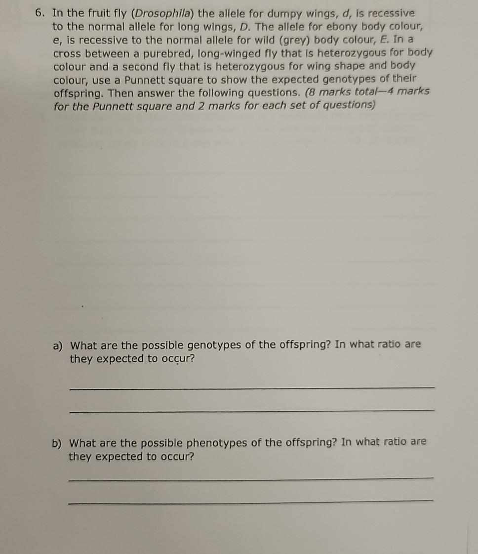 Solved 6. In the fruit fly (Drosophila) the allele for dumpy | Chegg.com