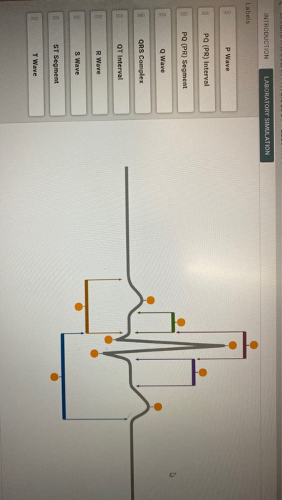 Solved INTRODUCTION LABORATORY SIMULATION Labels P Wave PO | Chegg.com