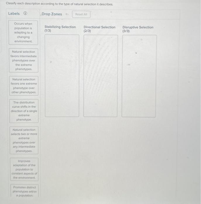 Classify each description according to the type of | Chegg.com