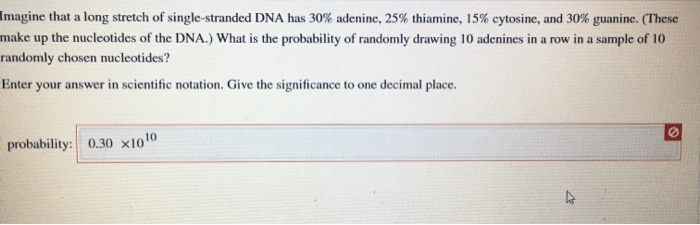 Solved Imagine that a long stretch of single-stranded DNA | Chegg.com