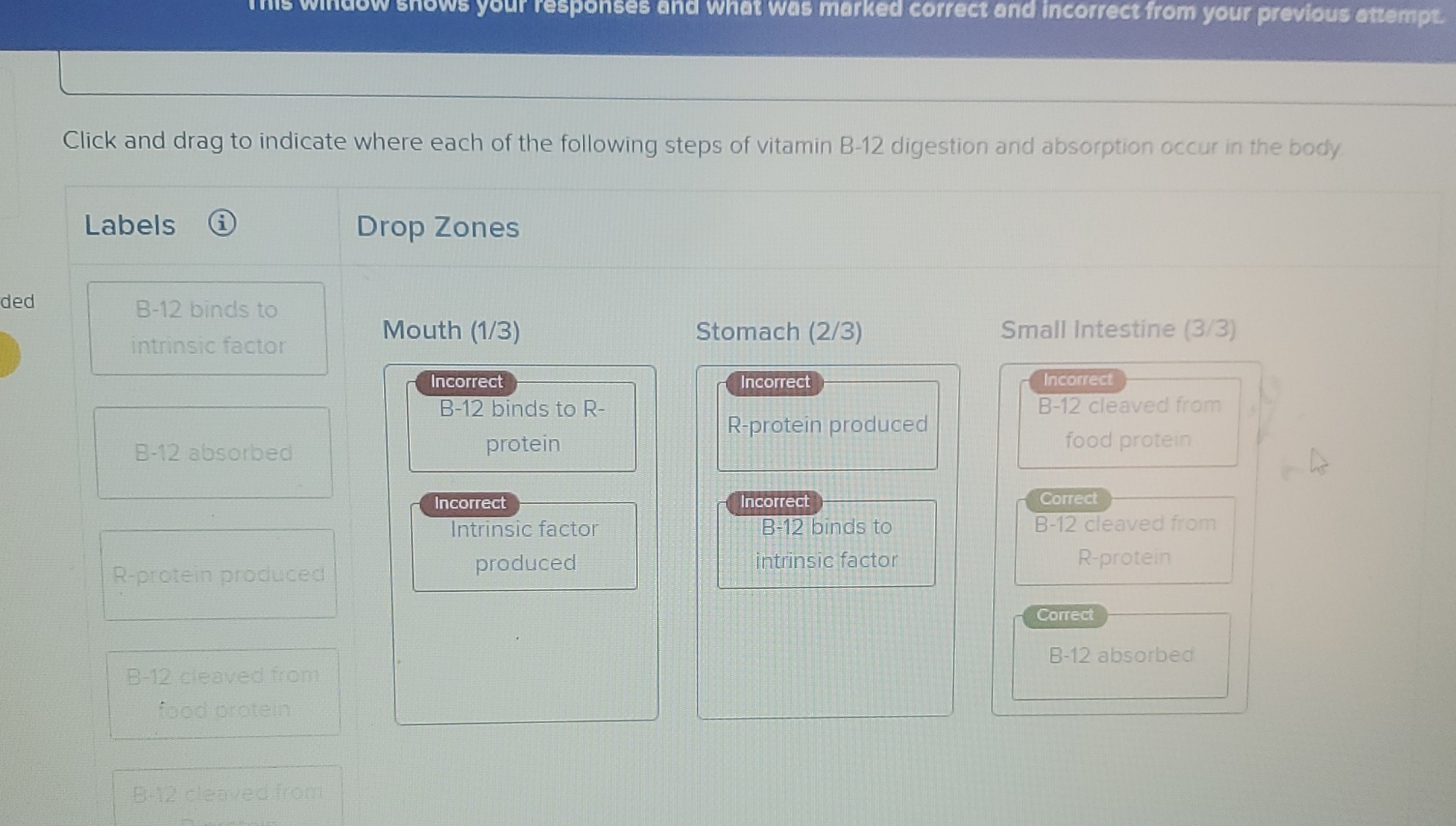 Solved Click and drag to indicate where each of the | Chegg.com